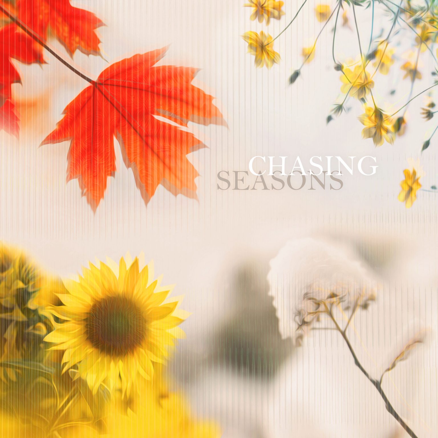 Center of Attention – Chasing Seasons – Signal Alchemy