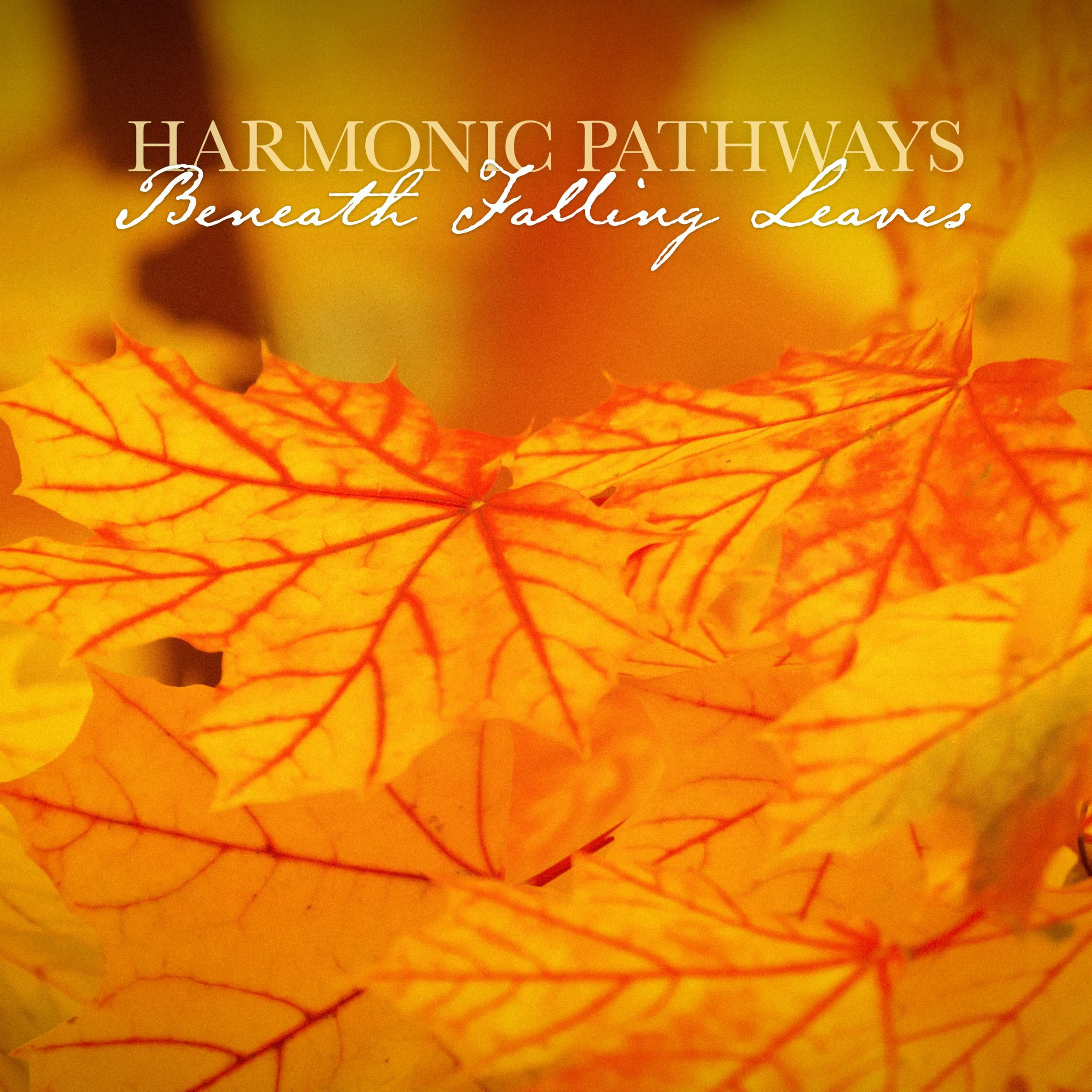 Harmonic Pathways – Beneath Falling Leaves – Signal Alchemy