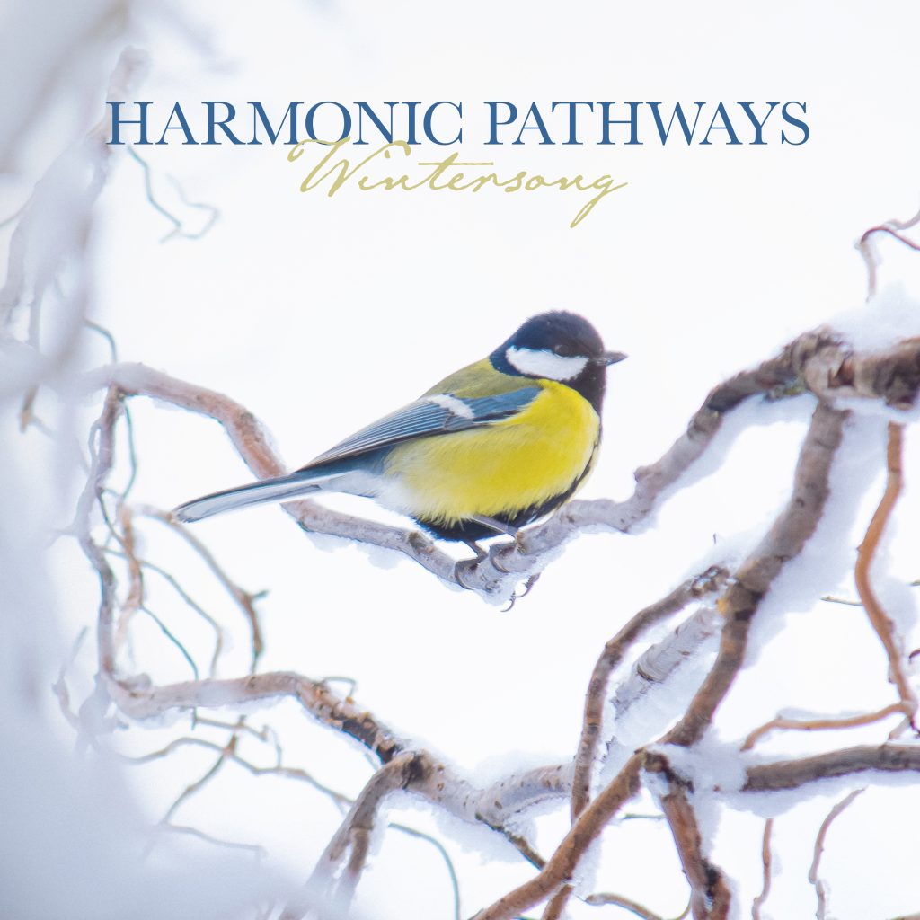 Harmonic Pathways – Wintersong – Signal Alchemy