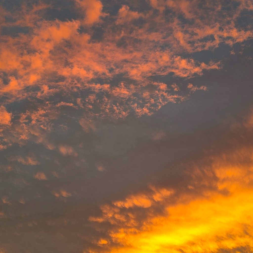 Human is Alive – Thoughts – Signal Alchemy