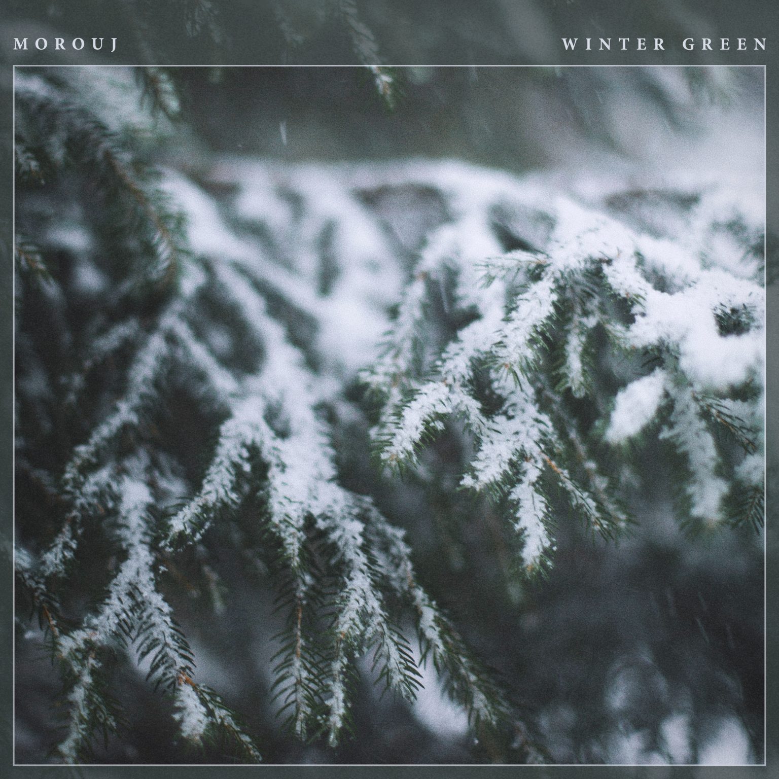 Morouj – Winter Green – Signal Alchemy